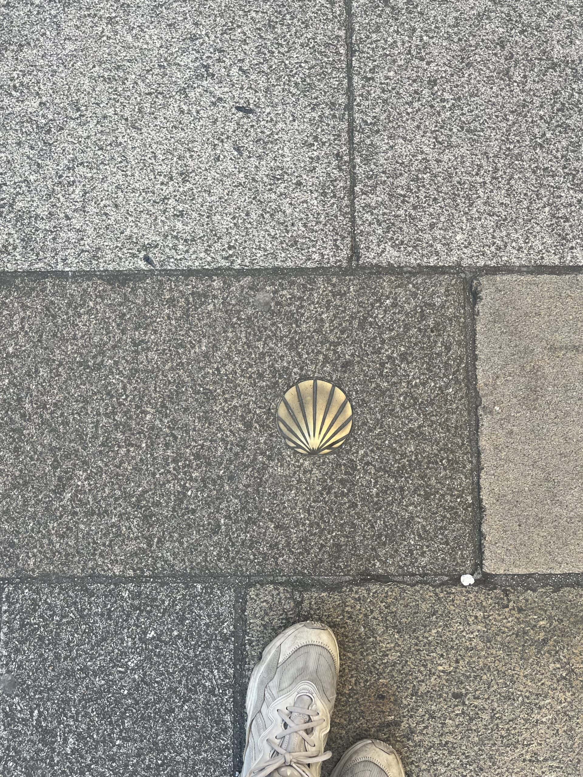 The Meaning Behind the Camino de Santiago Shell The Geo Room